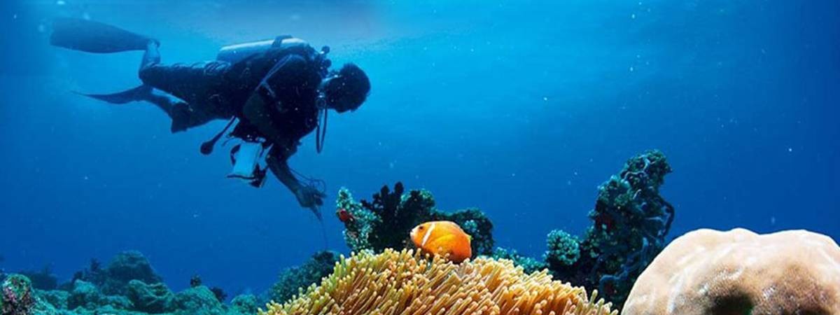 Подводный мир