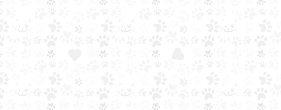 Добрый Доктор