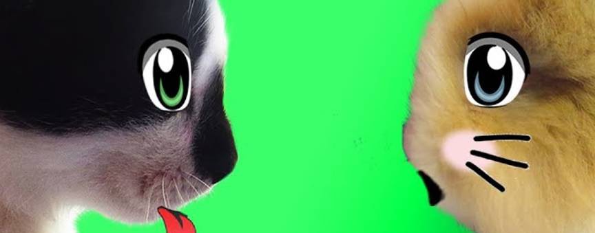 Мистер Илюшка