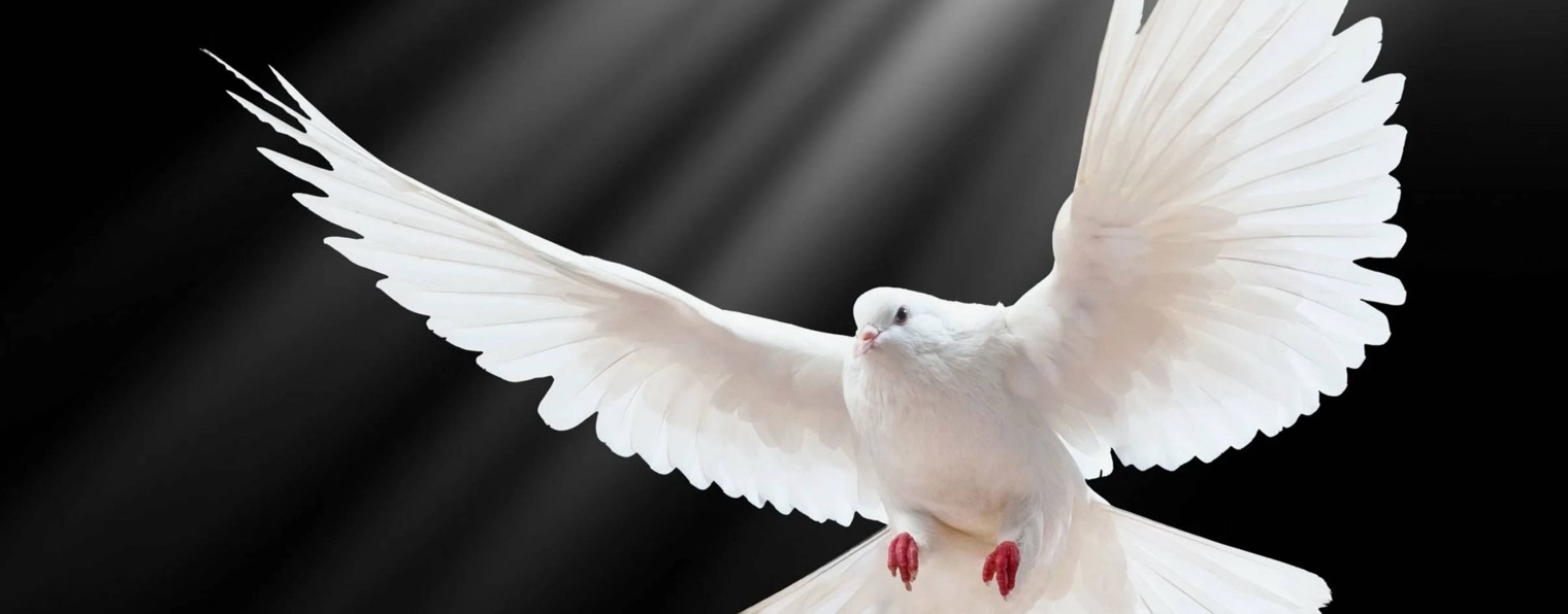 Церковь "Преображение" г.Макеевка