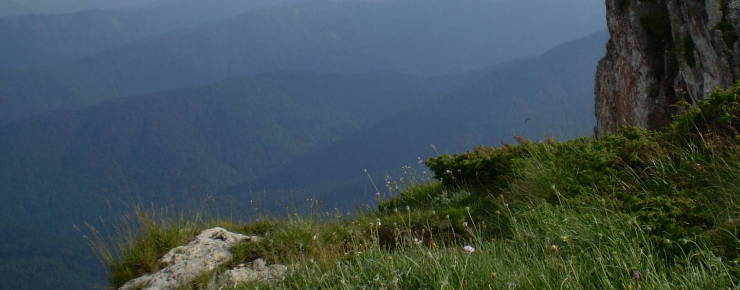 Костюченко Денис Христианские Богу Служения