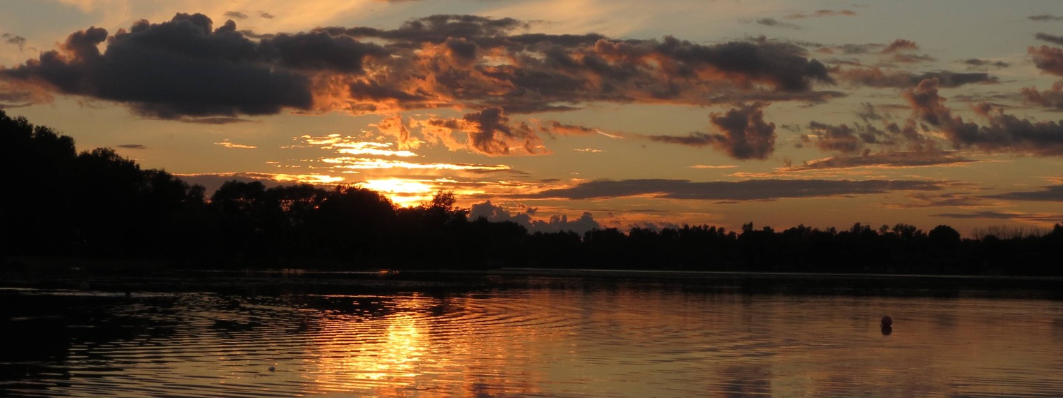 Creative owl Творческая сова