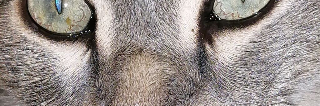 Афанасий Петрович