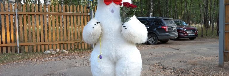 Плюшевые друзья 37