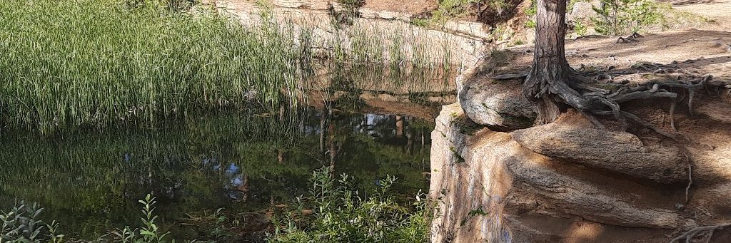 Rodion Hello баян