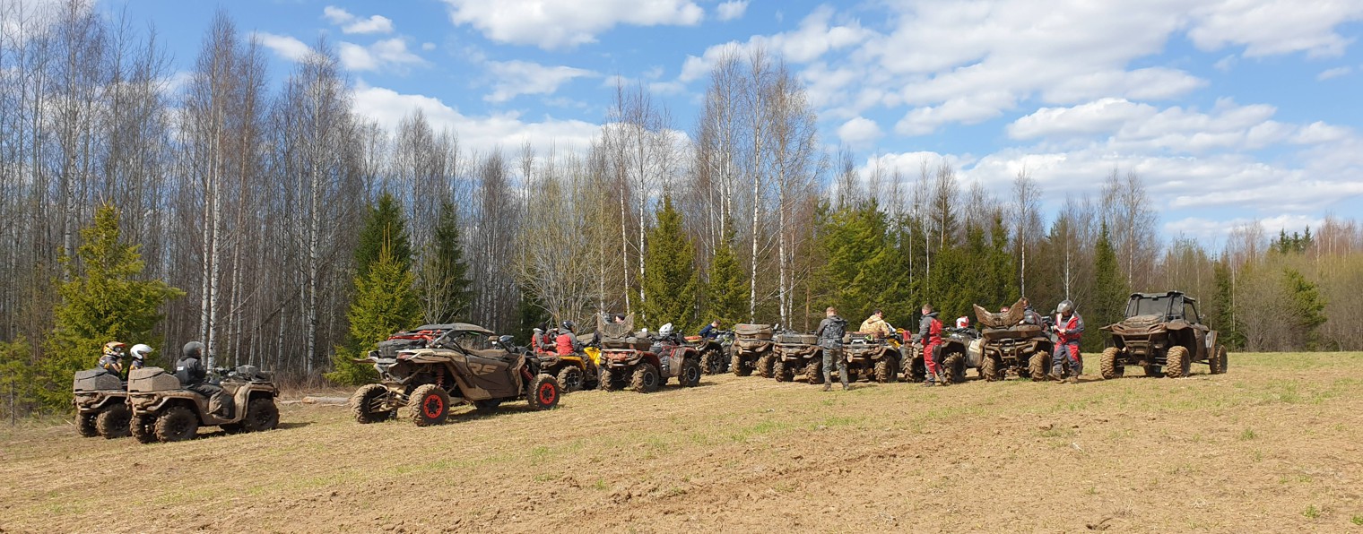 Записки Мишки Косолапого