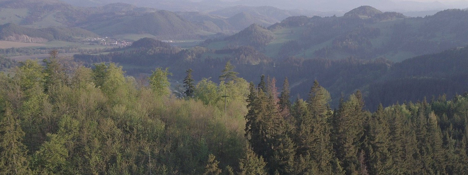 Юрий Жемличка