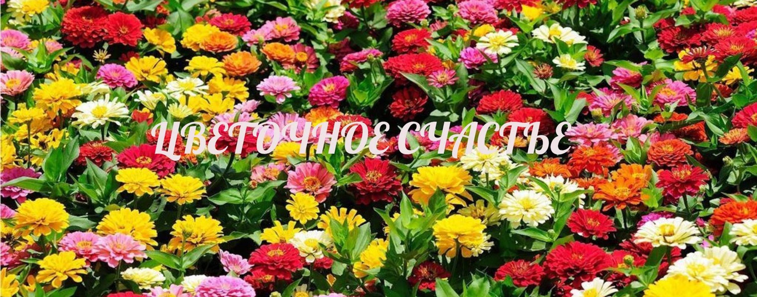 Цветочное Счастье