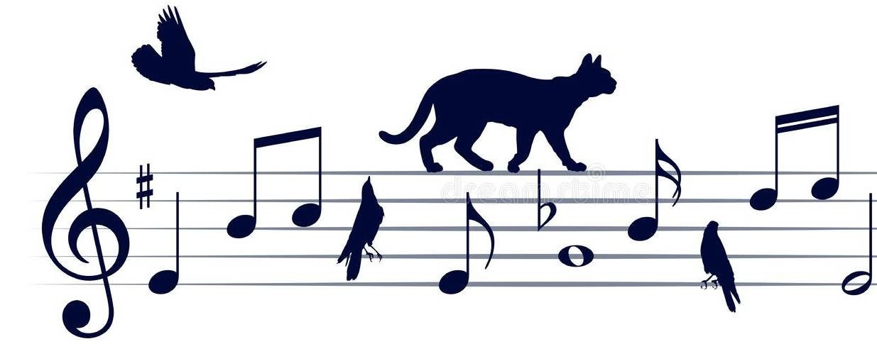 ОЛЬГА ГОНЧАРОВА