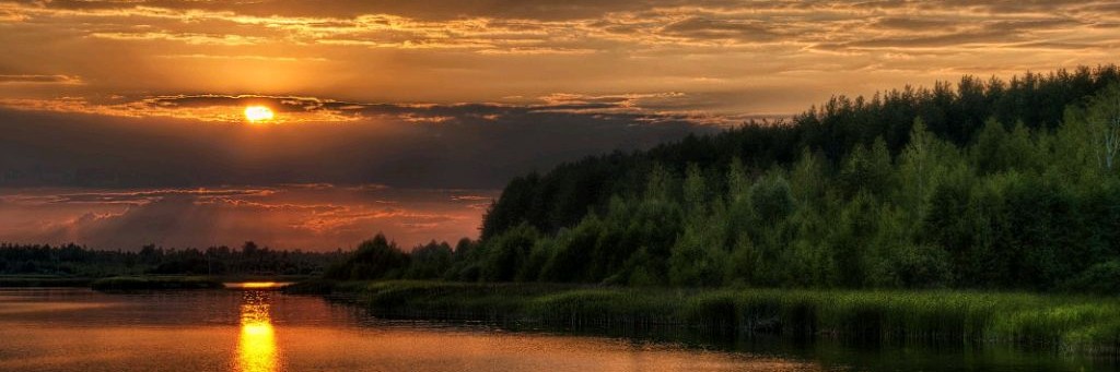 Жизнь на Земле