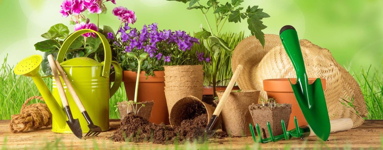 Огородный Эксперт