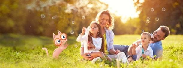 Мистер Мозг