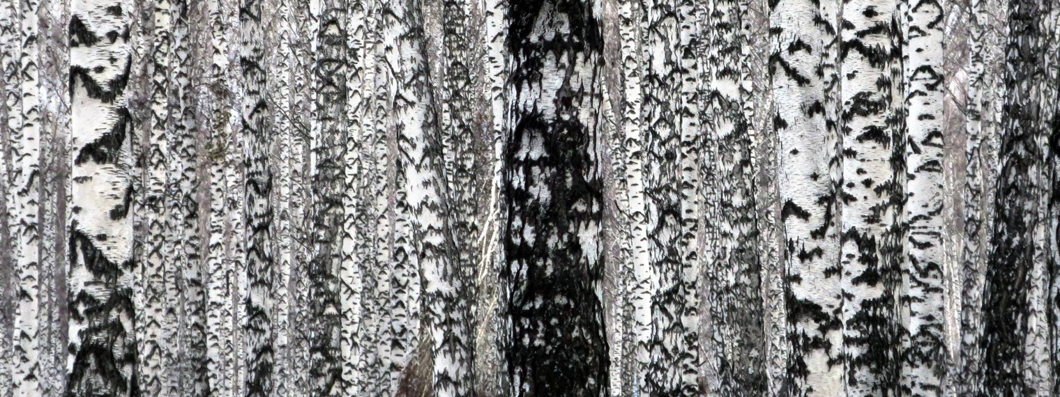 Походы без гречки