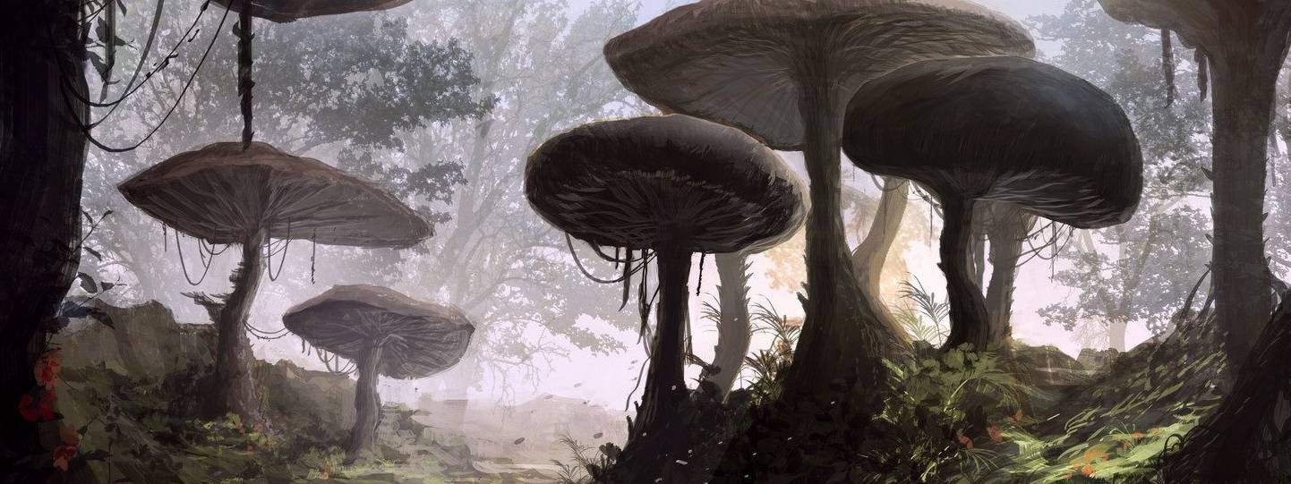 Лесной уголок