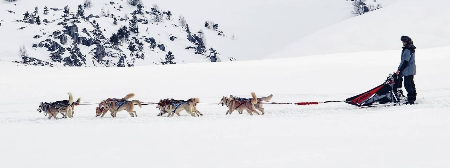 Нарты Шаман