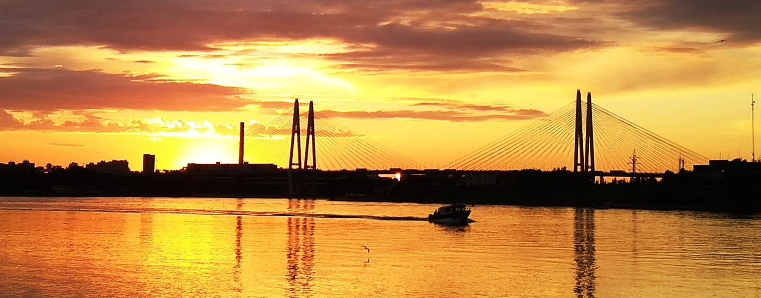 Ненастоящая фея