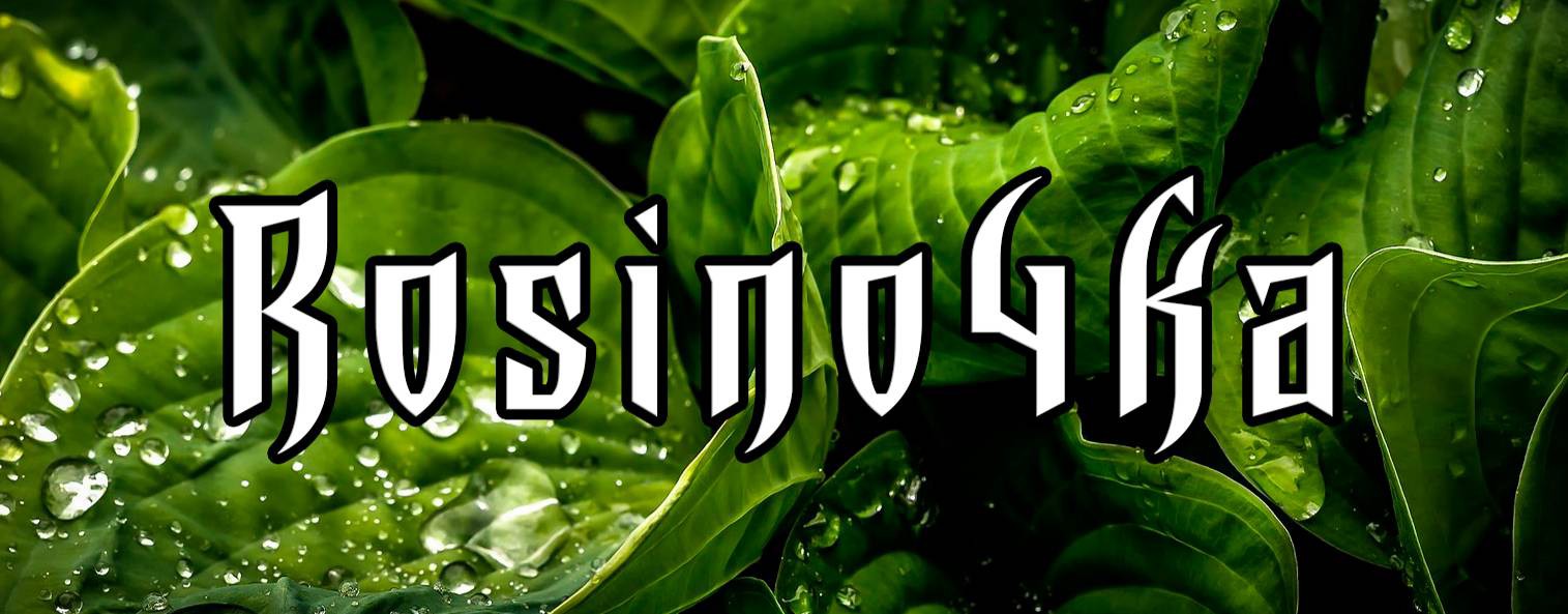 Rosino4ka