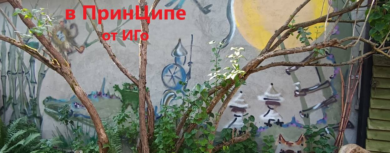В принЦипе