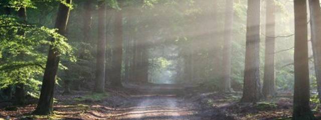 Жамолиддин готовить и технологии