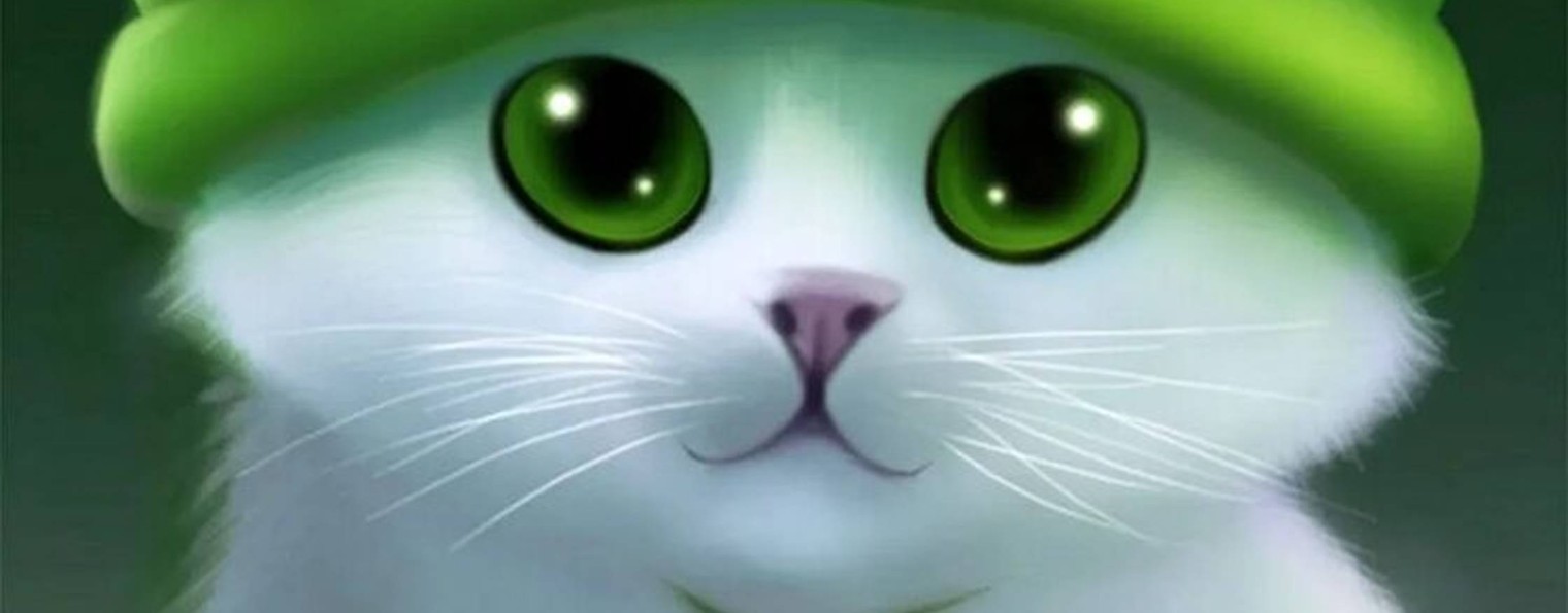 жизнь  всё обо всём