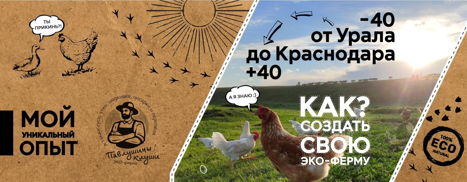 Павлуша на деревне