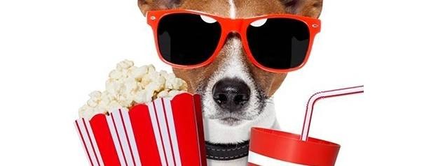 Фильмы-мультфильмы для всей семьи