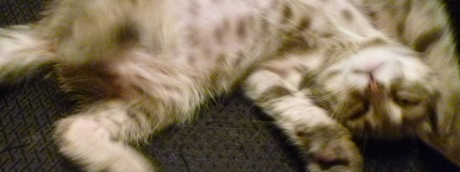 Elena Vadimovna ENGLISH