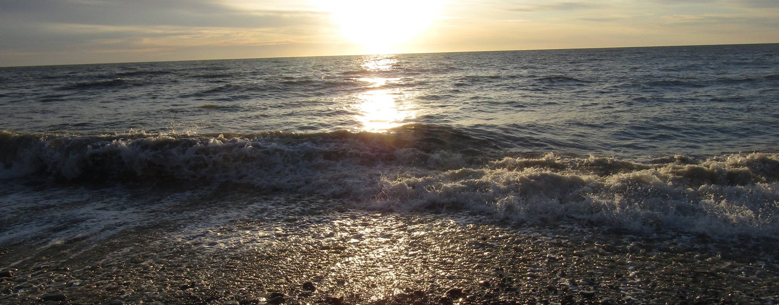 Моя жизнь на юге