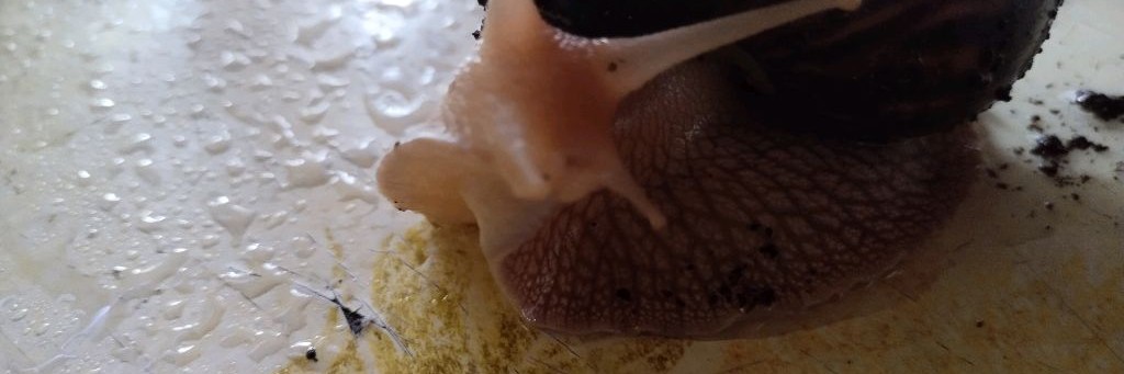 ОксанаМойАквариумНовоалтайск