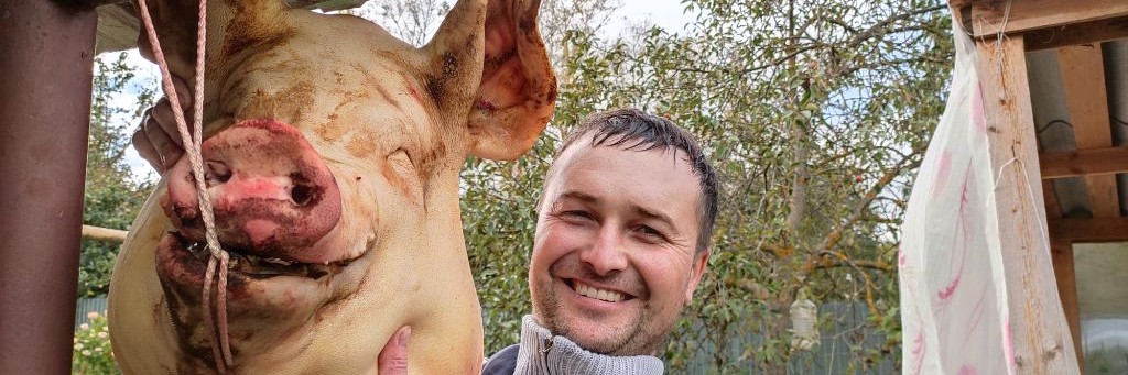 Андрей и поросята