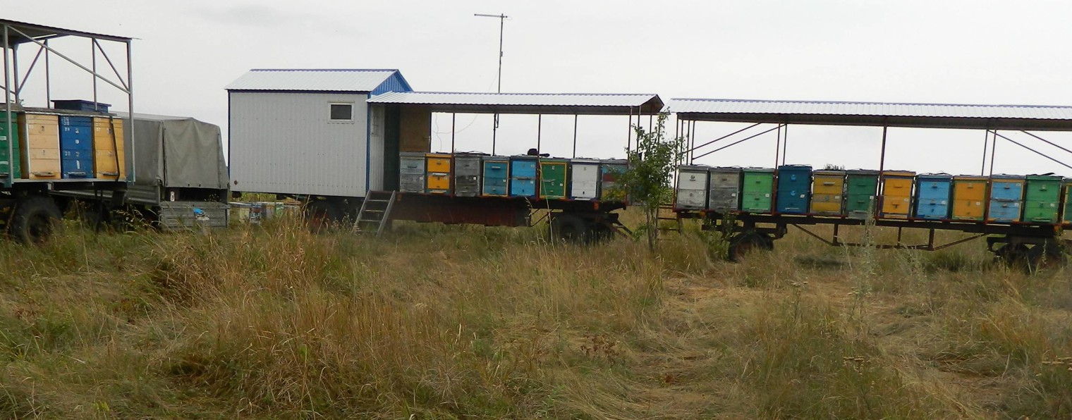 Дела пенсионера