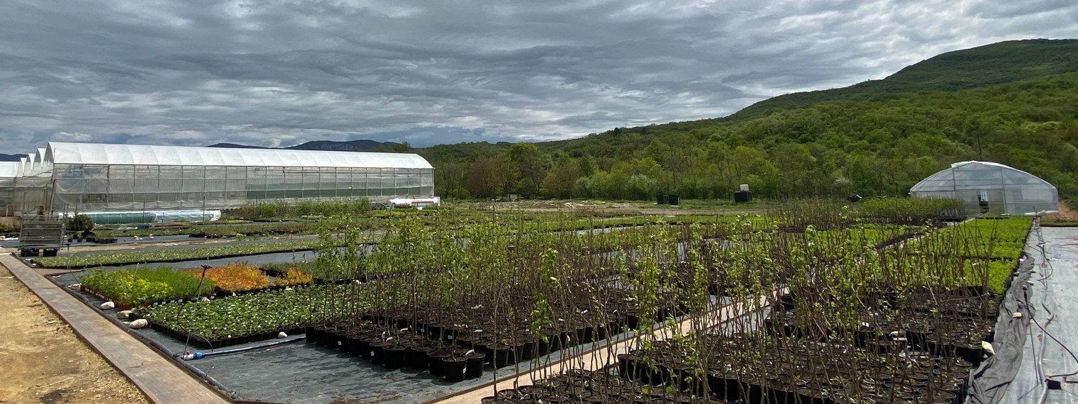 Алексей Колчин