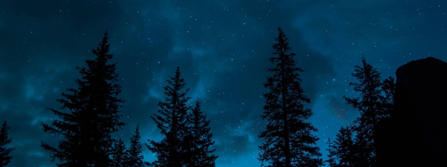 Жизнерадостный