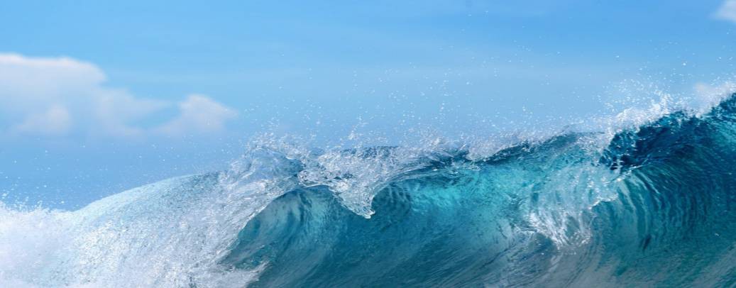 АНАПСКИЙ БАЛДЁЖНИК