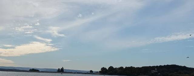 Психолог Ольга Тарасовна