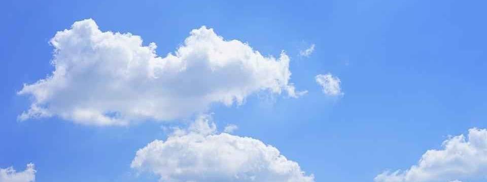 Сугоняк Антон Сергеевич