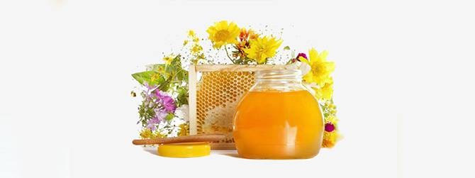 Вкусный путь к здоровью с Тенториум