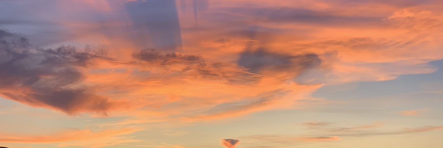 Люся Ласская