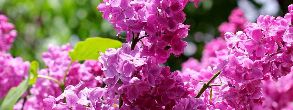 Анатолий Пережогин