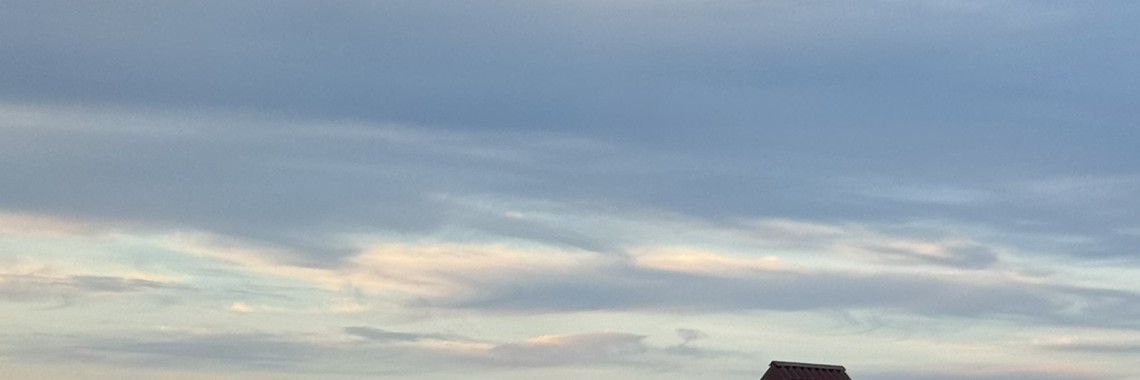 Анна Ангелова