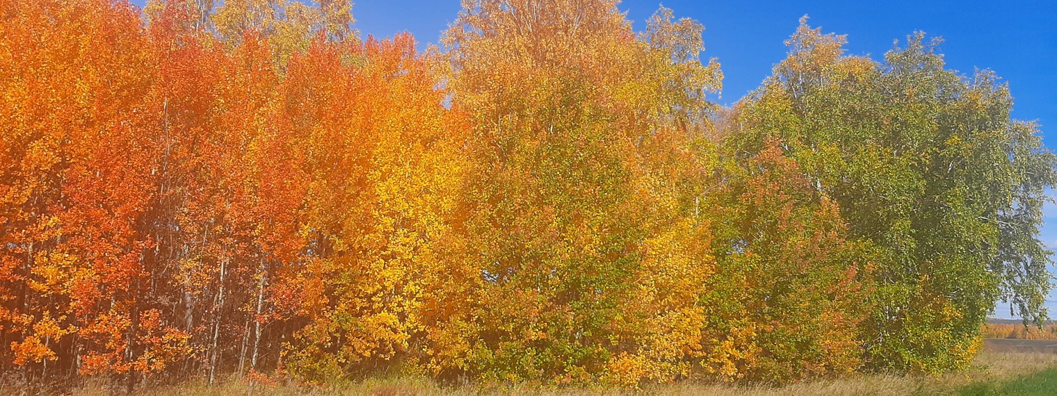 ТАТЬЯНА 30 СЕНТЯБРЯ