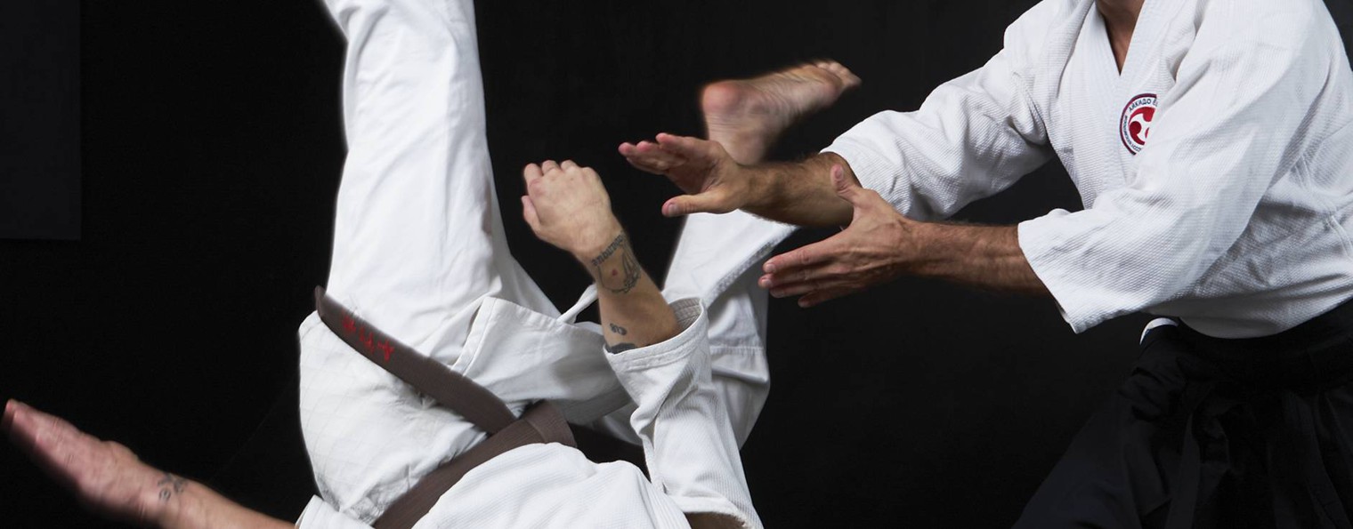 Айкидо Ёсинкан