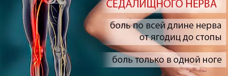 Домодедово трейл