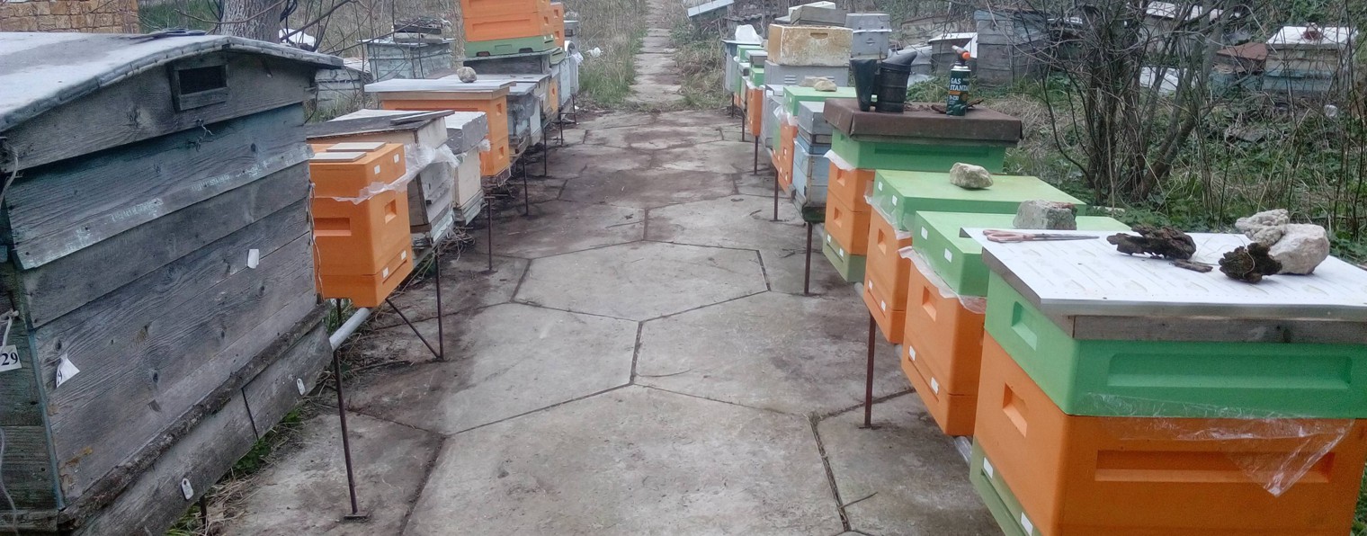 Люляков Василий