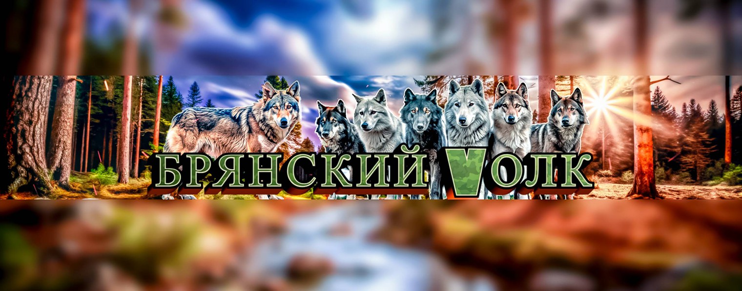 БРЯНСКИЙ VОЛК 🐺