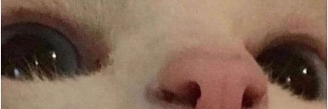 Kurkays | Рецепты