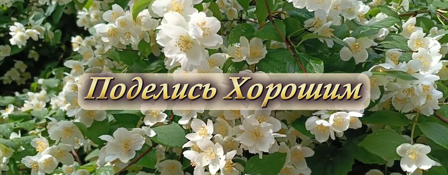 Поделись Хорошим