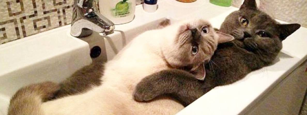 Юмор и приколы