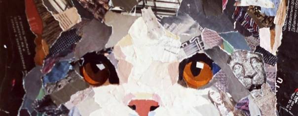 Что у вас тут происходит?!