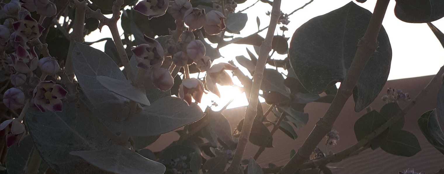 Бабушкин сундучок